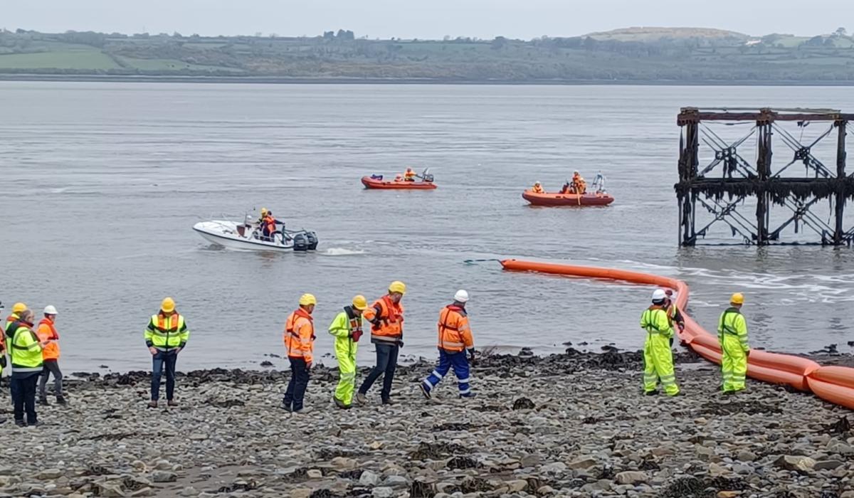 Green Limerick: Preparing for the worst-case scenario along the Shannon Estuary - Limerick Live
