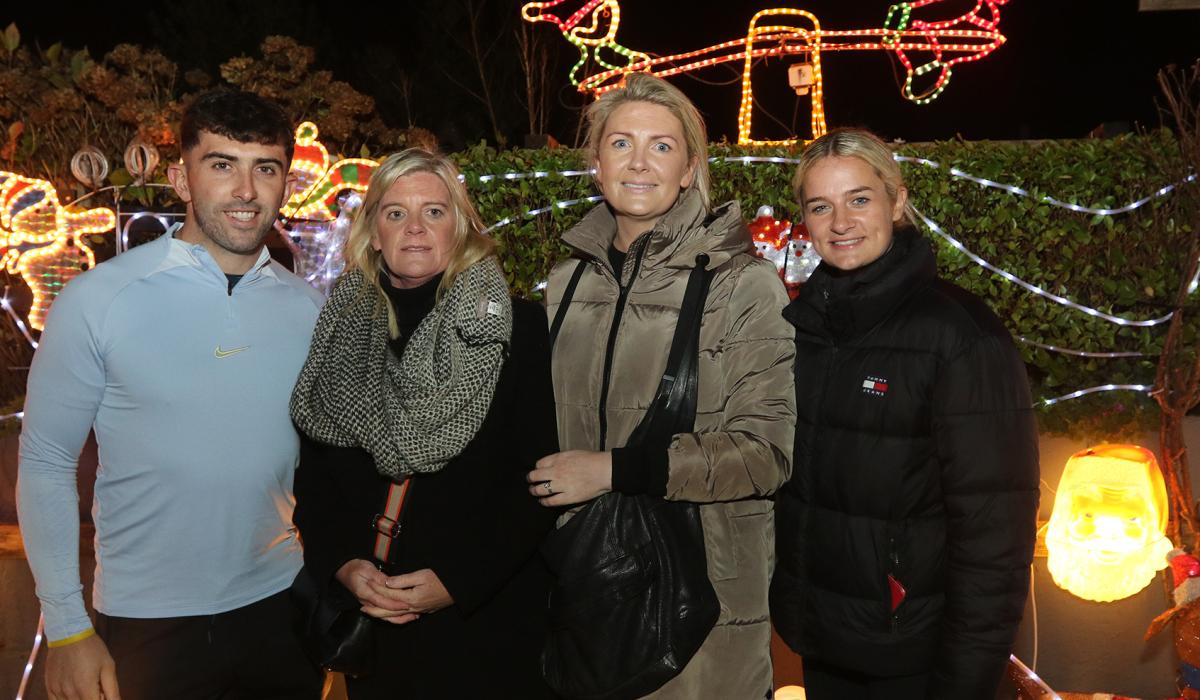 In Pictures: Limerick GAA stars switch on charity Christmas light show ...
