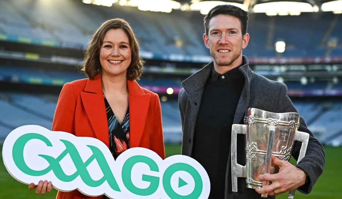 Limerick All-Ireland winner unveiled as a new hurling analyst with ...