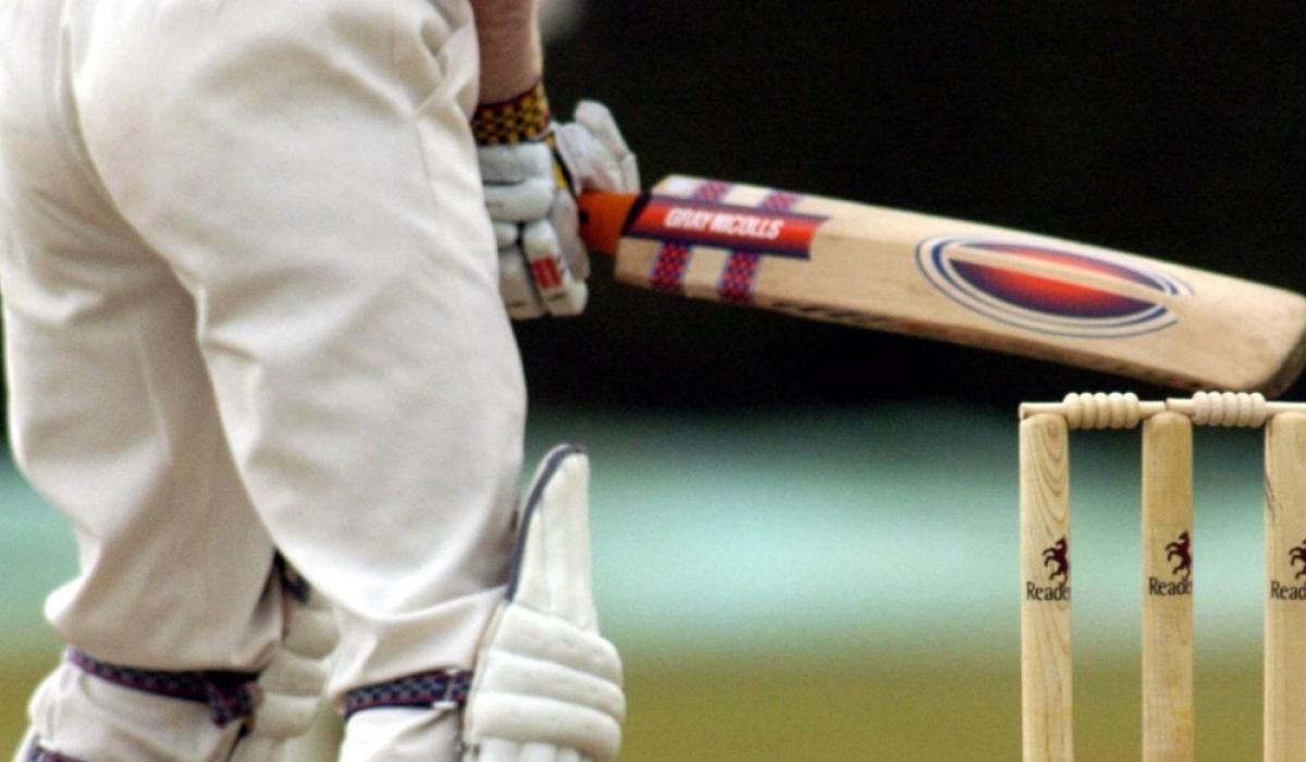 Limerick Cricket Club's season ends with final day defeats - Limerick Live