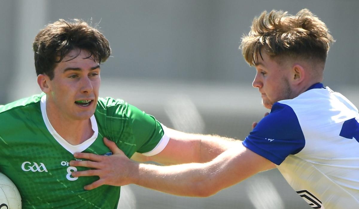 Limerick progress to Tailteann Cup quarter-finals despite defeat to ...