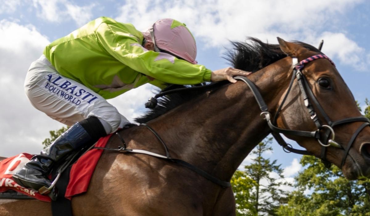 Winners flow for Limerick racing connections - Limerick Live
