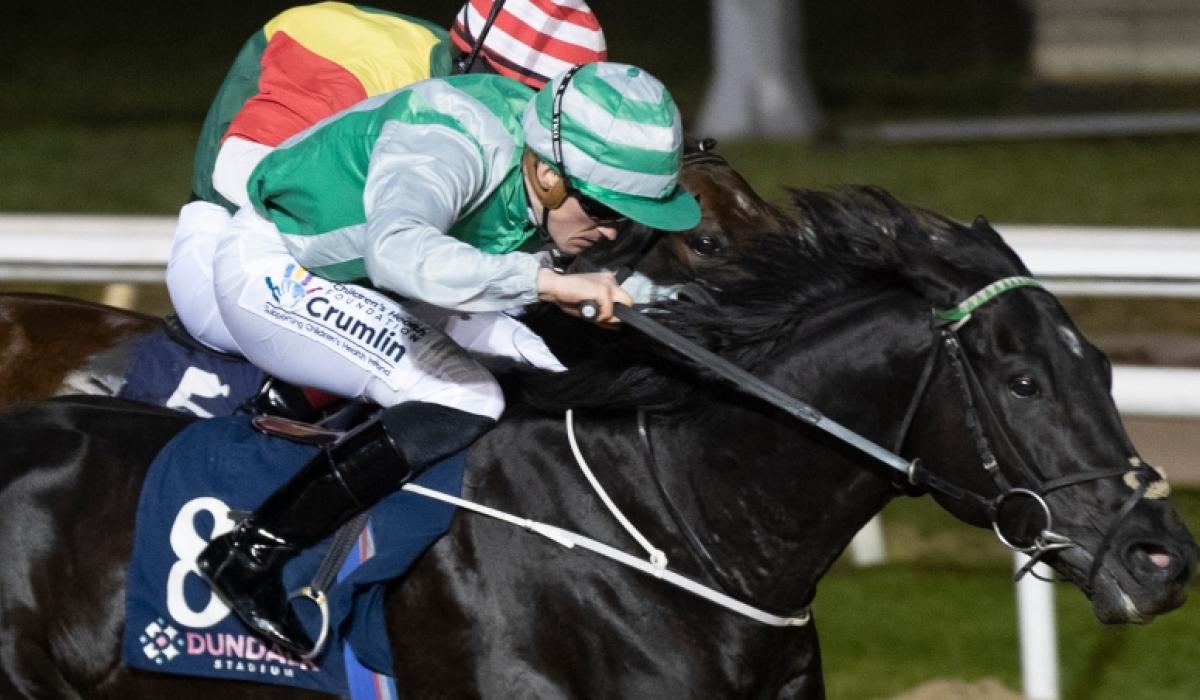 More Limerick success on the race track - Limerick Live