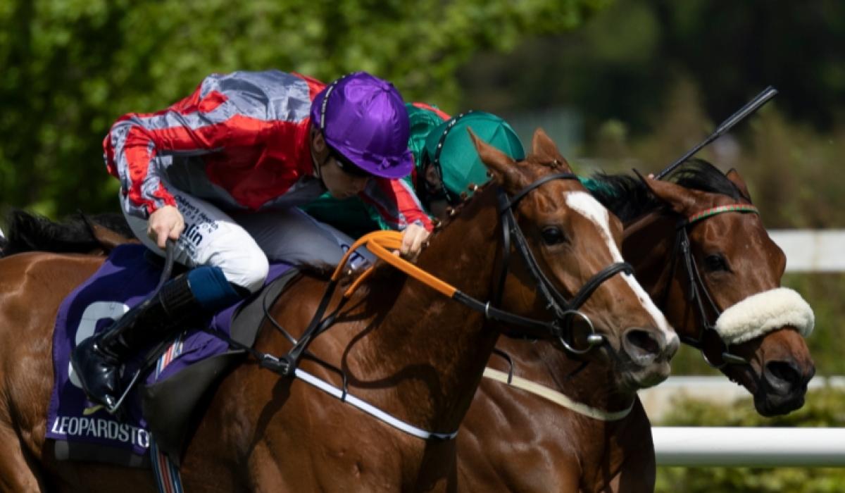 Limerick racing enjoys bumper start to May on the track - Limerick Live