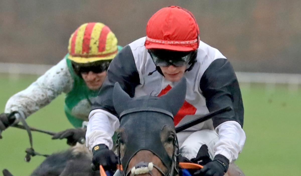 Bumper spell of success for local horse racing connections - Limerick Live