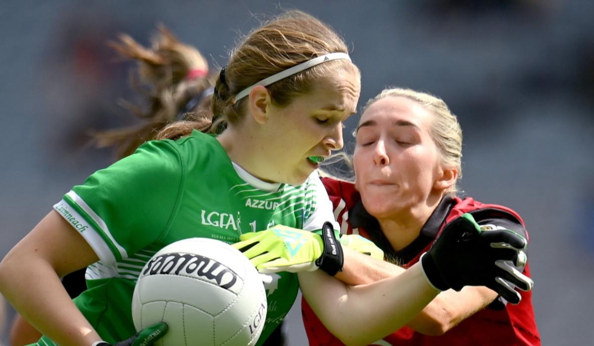 Limerick boss Graham Shine fancies Limerick for All-Ireland final ...