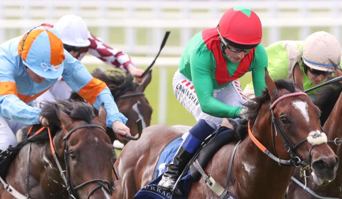 Winners aplenty on the track for Limerick racing enthusiasts - Limerick ...