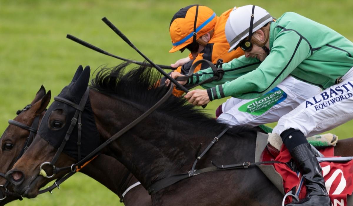 Limerick racing connections visit winners' enclosure - Limerick Live