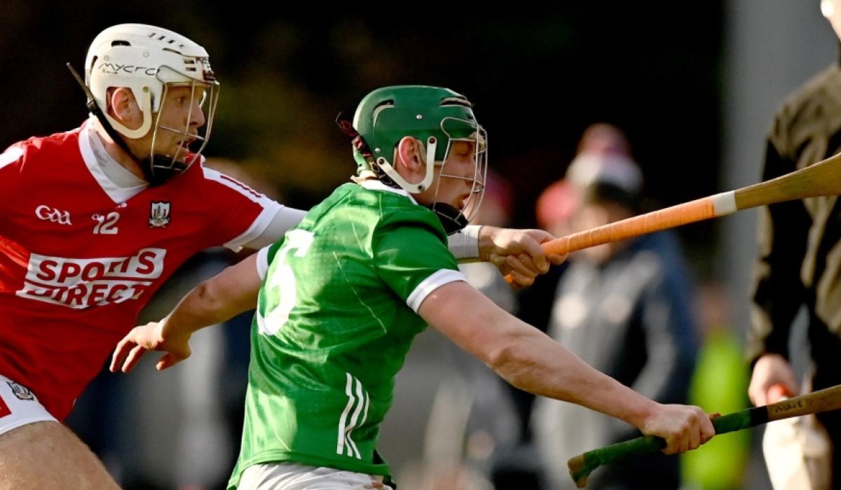 Limerick manager John Kiely happy with players attitude despite loss to ...