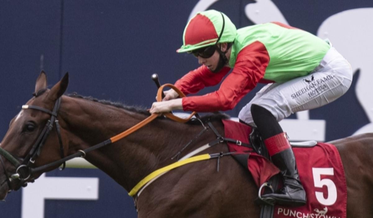 Abbeyfeale jockey scores first double of his career on the track ...