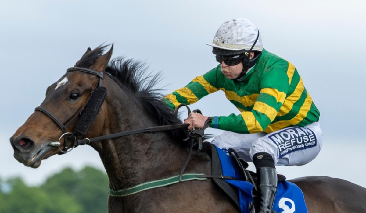 Limerick racing connections enjoy bumper spell on the track - Limerick Live