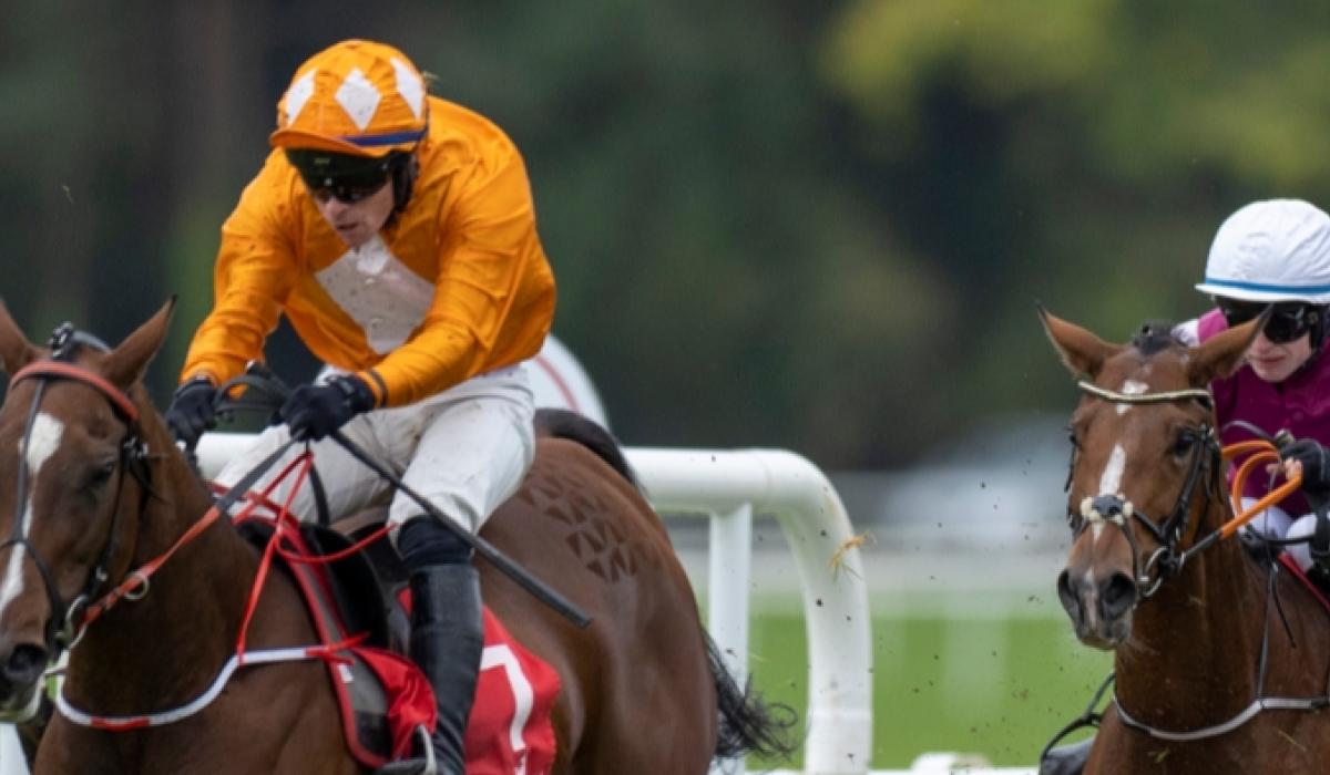 Limerick racing connections in the winners' enclosure - Limerick Live