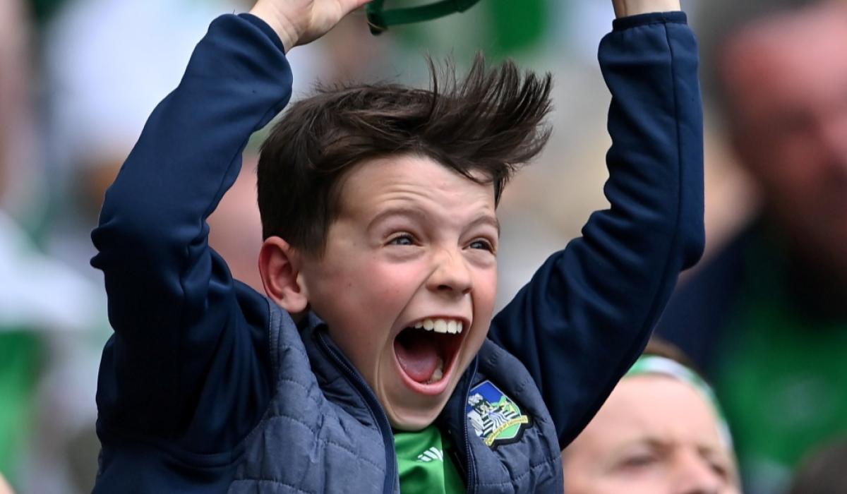 2022 in Review: Limerick's three-in-a-row All-Ireland heroes secure ...