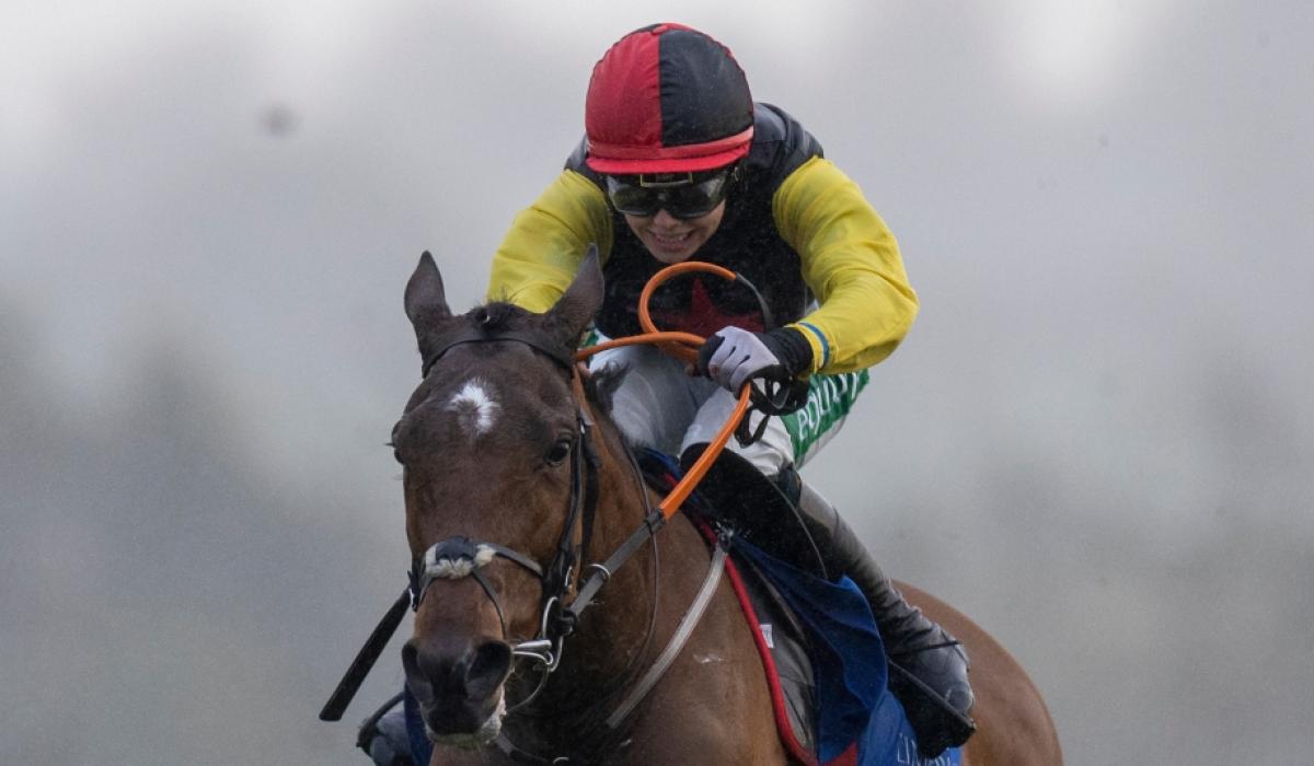 Limerick racing connections enjoy bumper spell on the track - Limerick Live