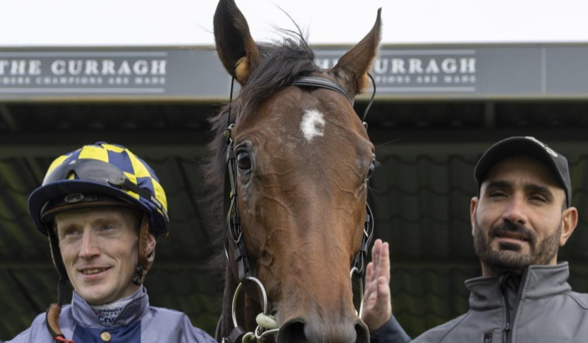 Ballingarry's Billy Lee in top form during memorable spell for Limerick ...