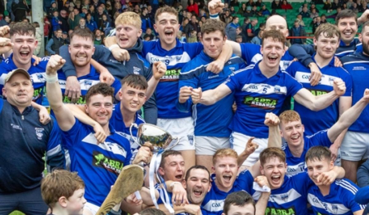 Dromin-Athlacca seal last gasp Limerick Premier IHC final win over ...