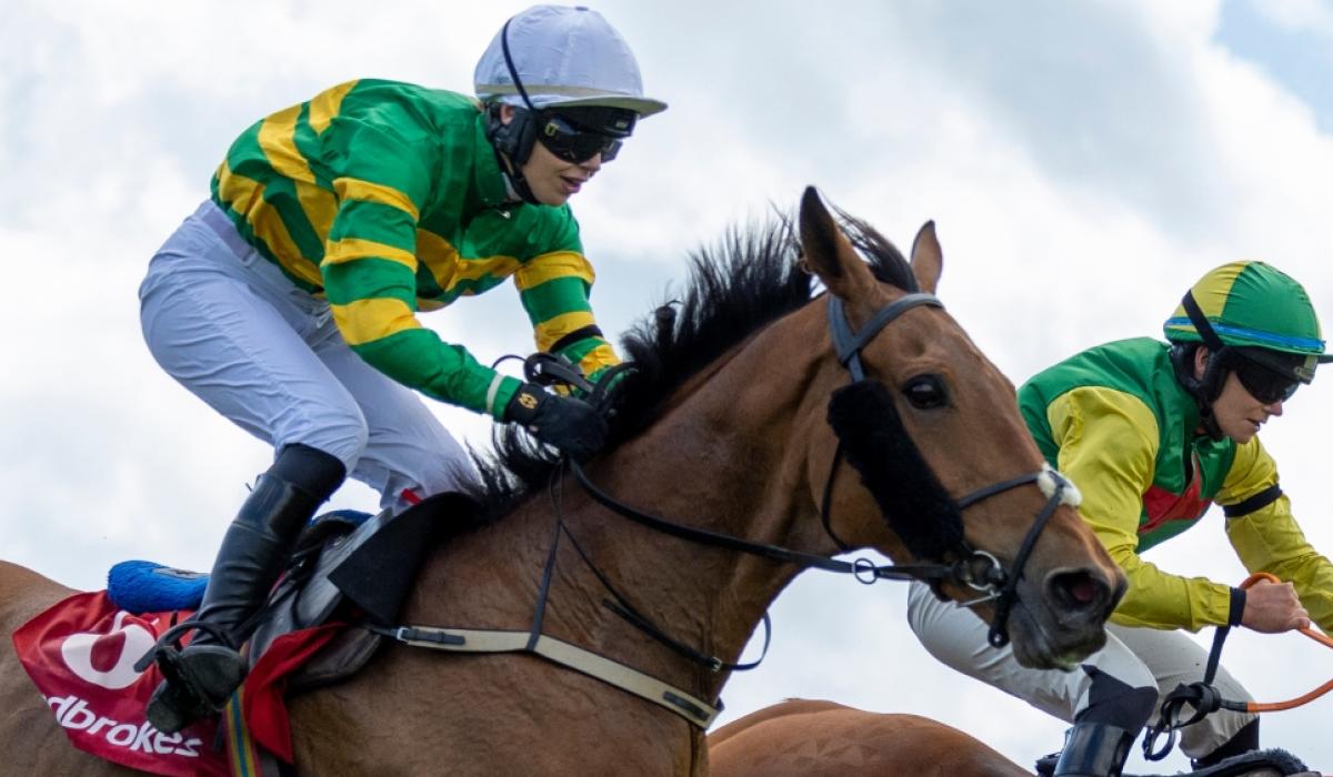 Bumper spell for Limerick racing connections on the track - Limerick Live