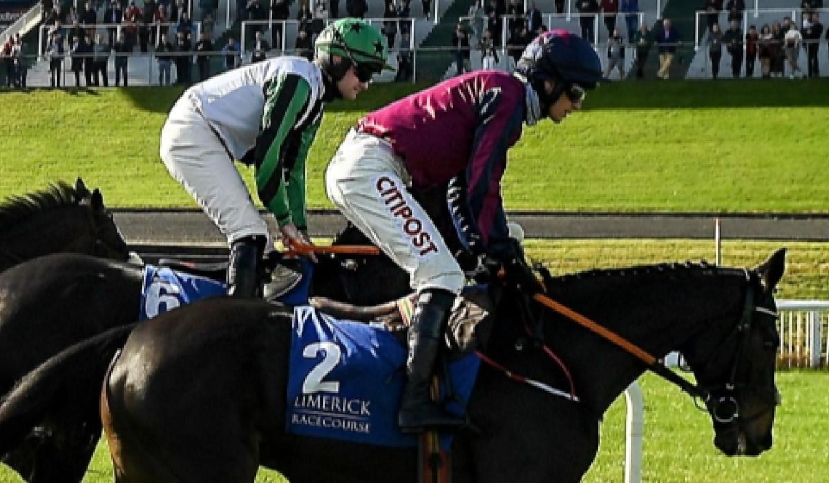 Limerick Racecourse celebrates 21st staging of Munster National ...