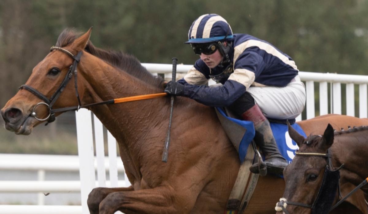 Limerick trainers and jockeys enjoy successful spell on the track ...