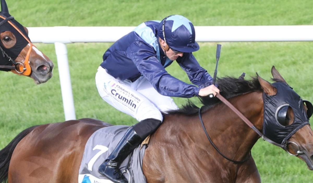 Ballingarry jockey Billy Lee enjoys success at Irish Derby weekend ...