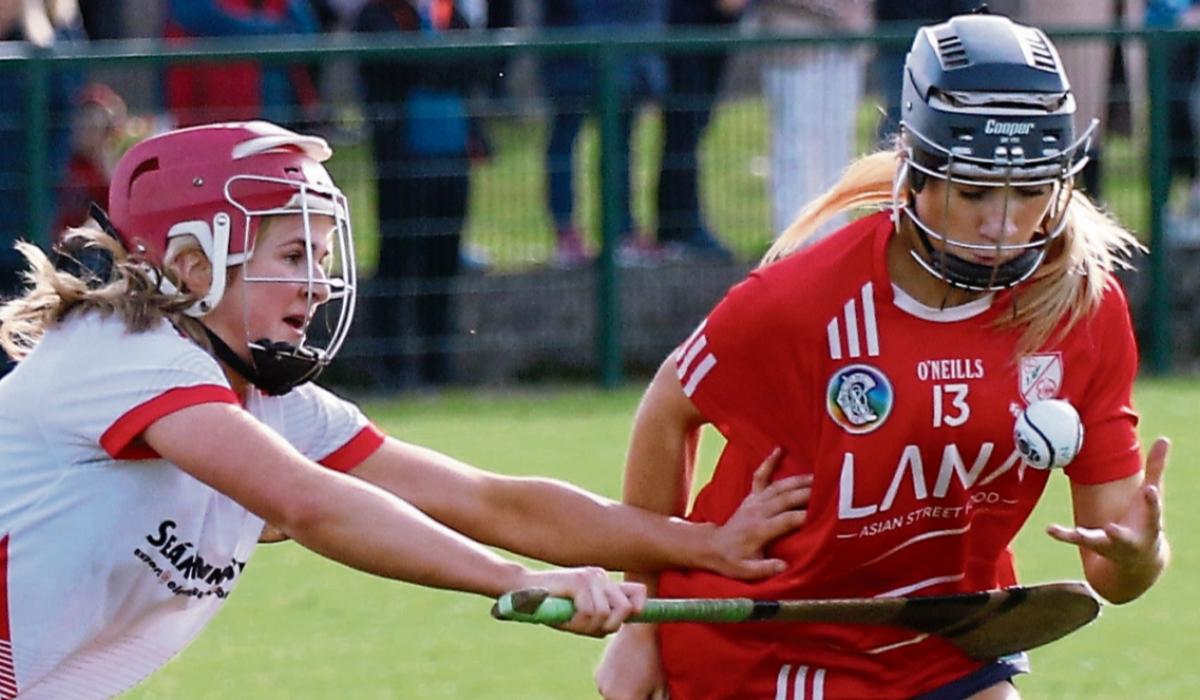 Monaleen claim Limerick intermediate camogie title after victory over ...