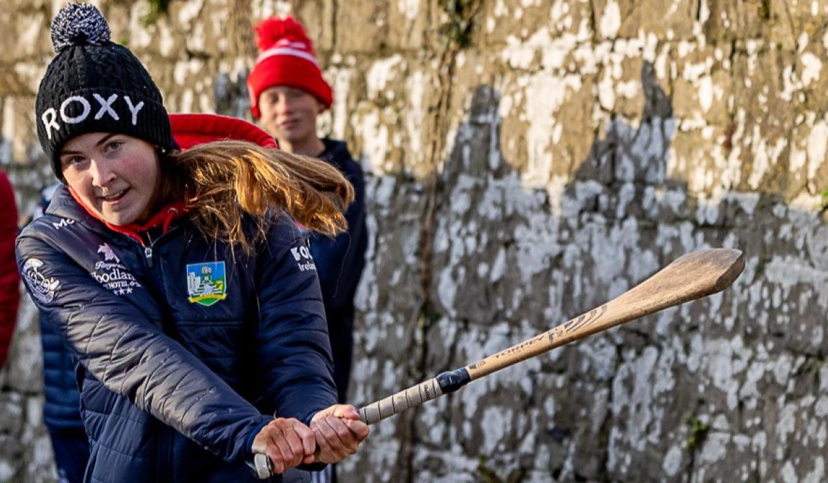 In Pictures: Monaleen stages popular Christmas road hurling event ...