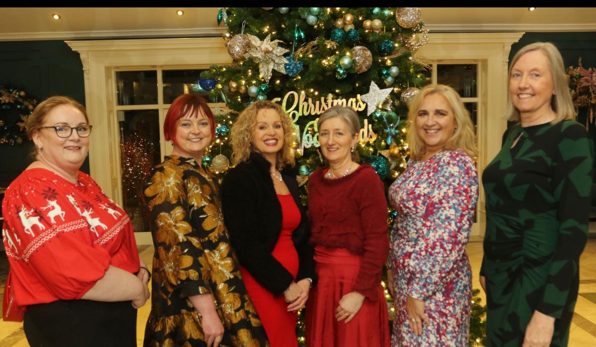 In Pictures: Limerick Childcare Committee Christmas Networking Event ...