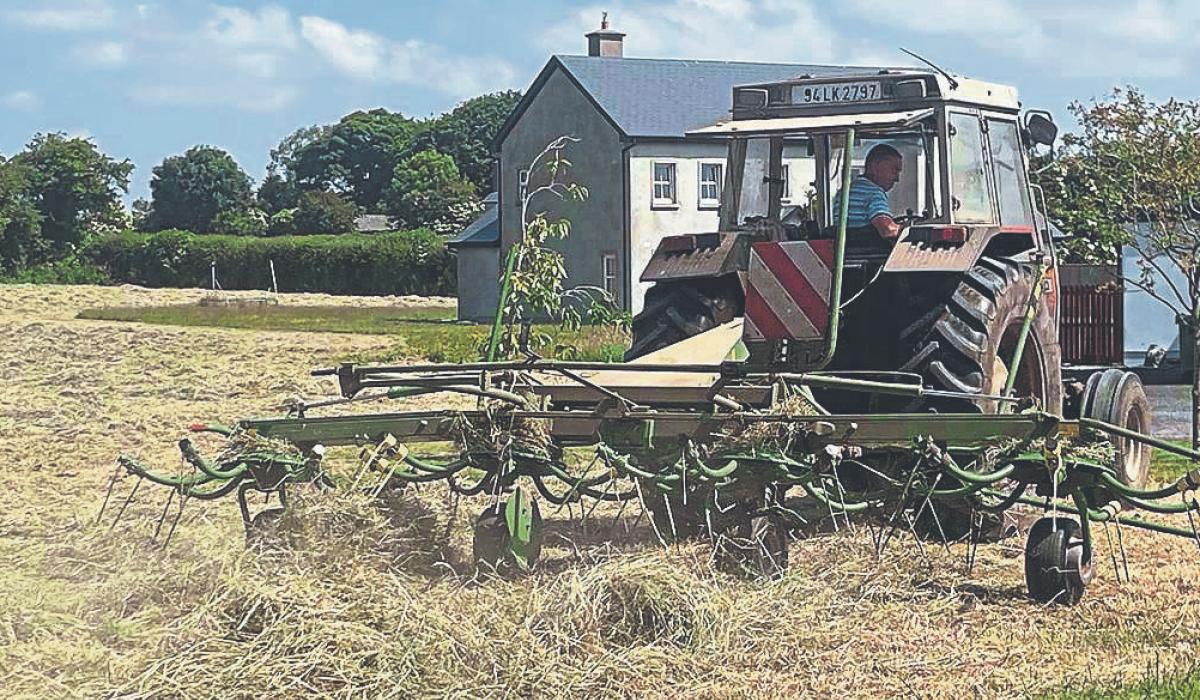 ‘Haydays’ but Limerick farmers are out doing rain dances drought to end ...
