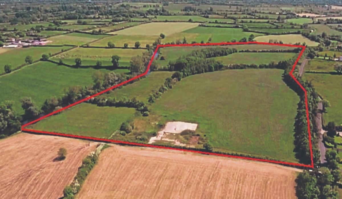 Million euro Limerick farm put up for auction - Limerick Live