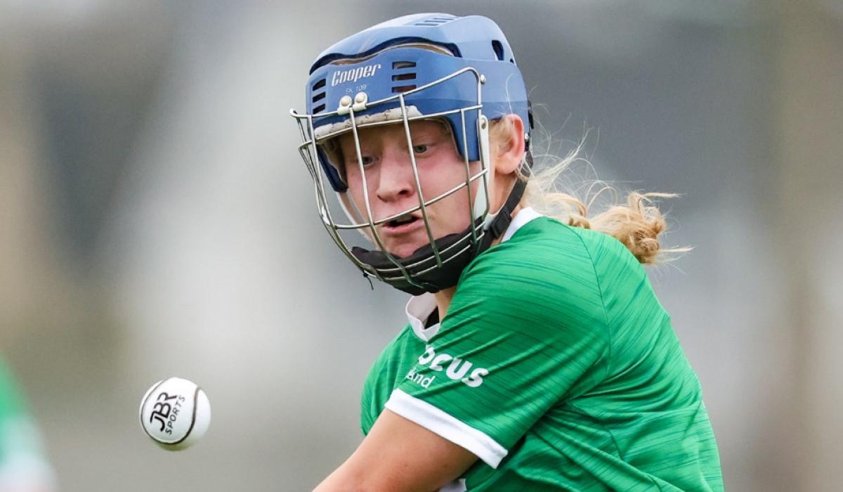 Spirited Limerick camogie side secure Division 1B status after crucial ...
