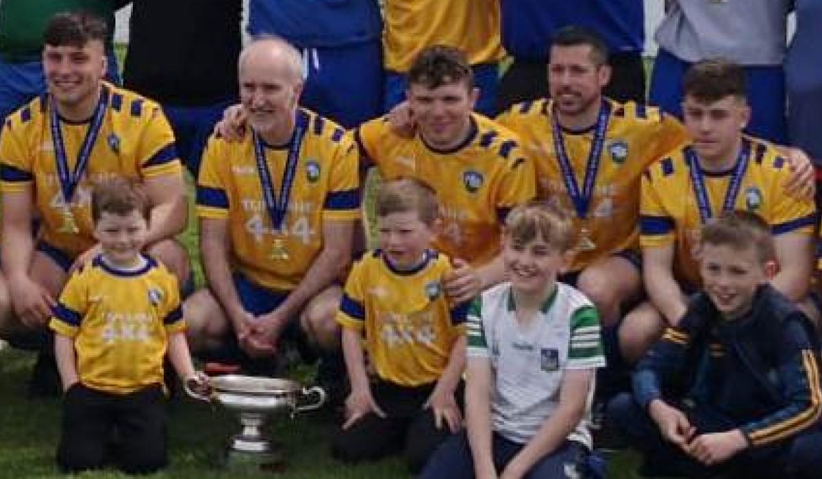 Limerick District League - weekend junior soccer round-up - Limerick Live