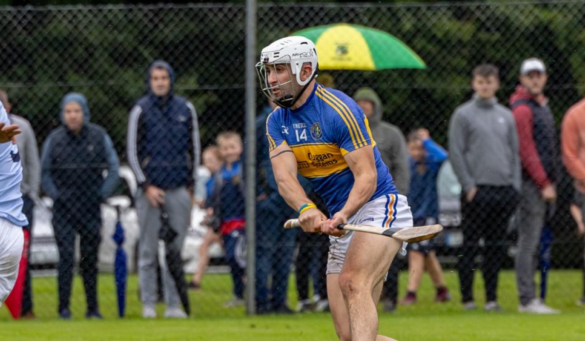 alan gillane limerick