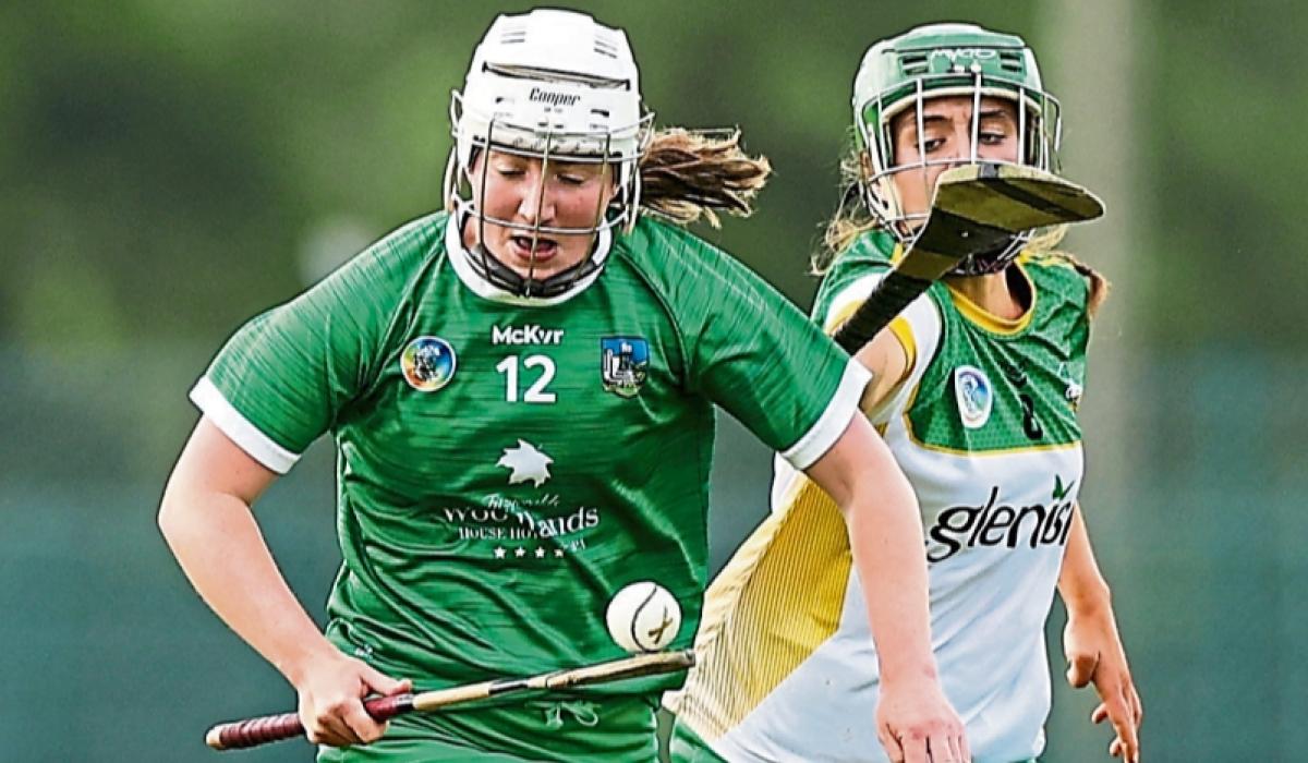 Women in Sport: Caoimhe Costelloe, Limerick senior camogie player ...