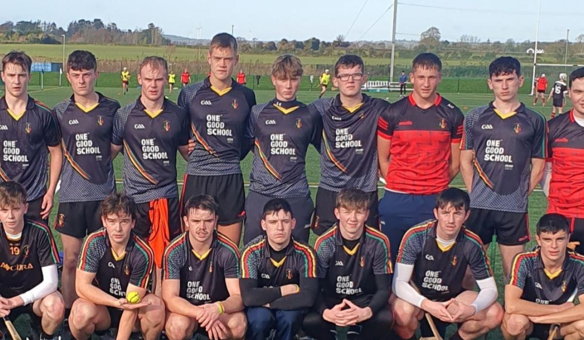 Time and venue confirmed for all Limerick Harty Cup quarter-final ...