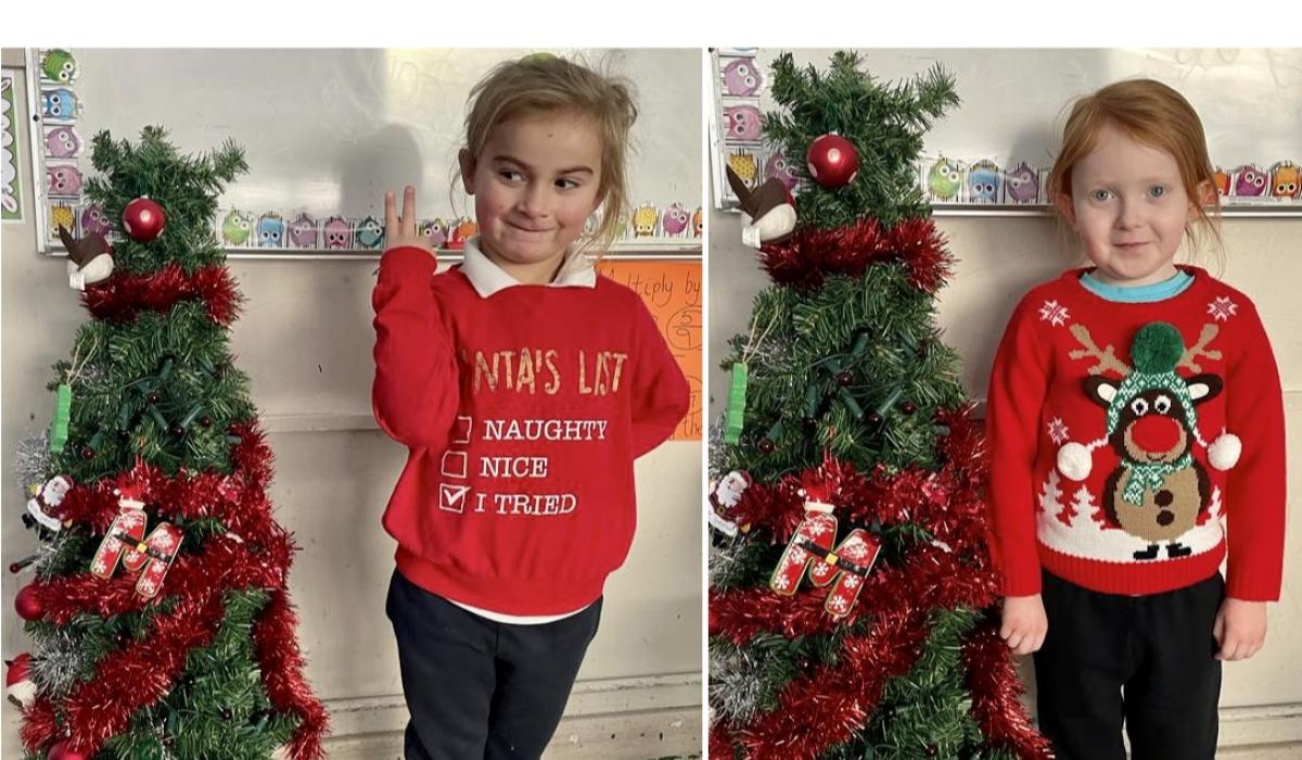 Pupils at Limerick school find novel way to sustainably celebrate ...