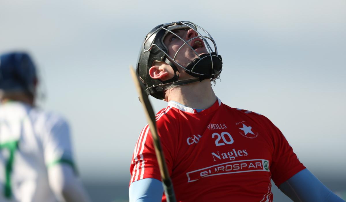 Heartbreak for gallant Bruff as Limerick side lose All-Ireland Final ...