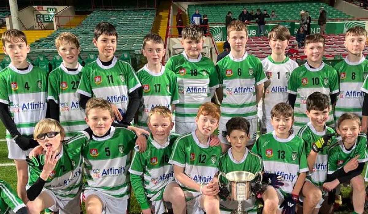 Victory for Limerick City in Sarsfield Cup final - Limerick Live