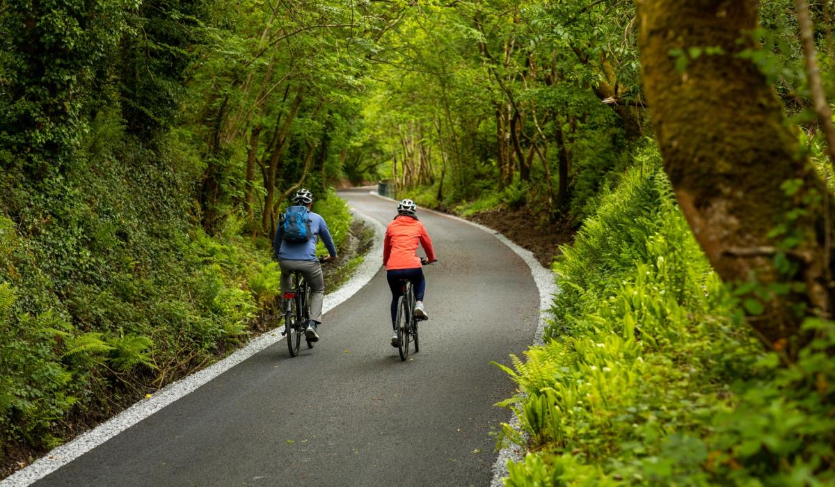 Further investment for Limerick Greenway after milestone visitor mark ...