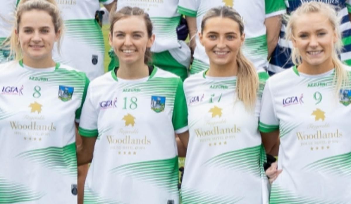 Shine names strong Limerick team for league semi-final with Antrim ...