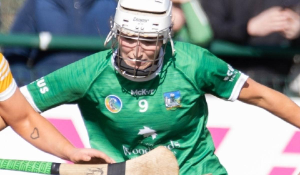 Huge weekend for three Limerick camogie teams in league action ...