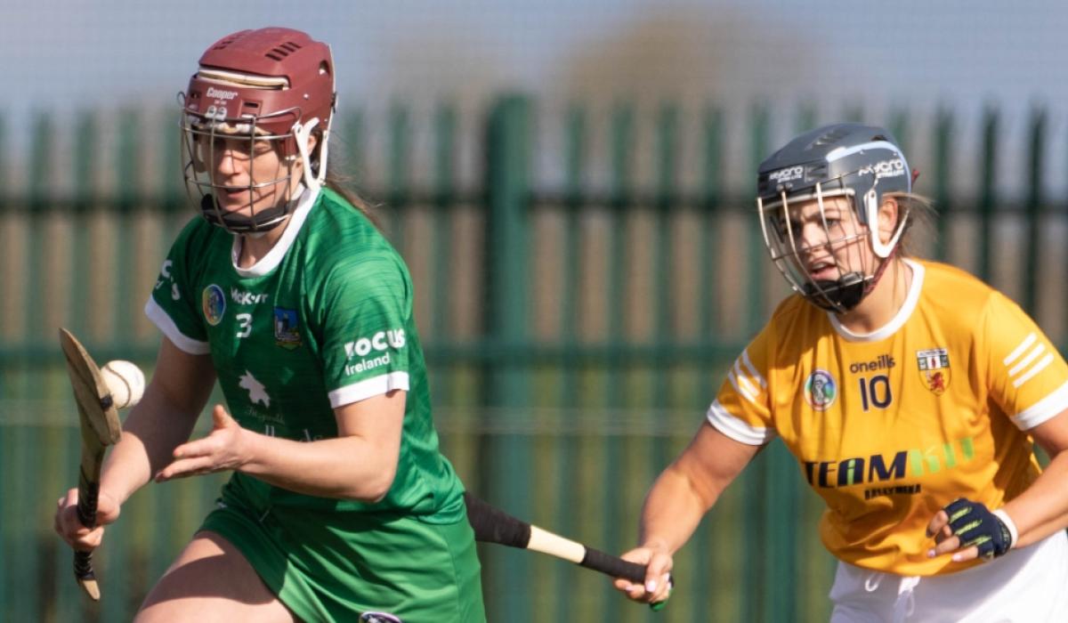 Limerick suffer opening day defeat in All-Ireland senior camogie ...