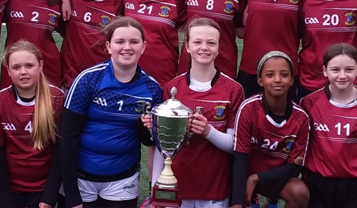 South Limerick see off Limerick City to win Neville Cup - Limerick Live