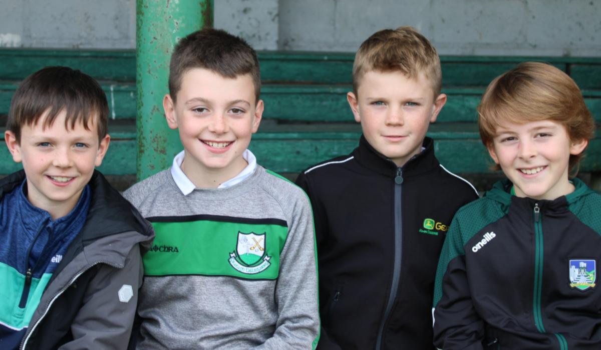 In Pictures: Doon book Limerick hurling semi final spot with win over ...