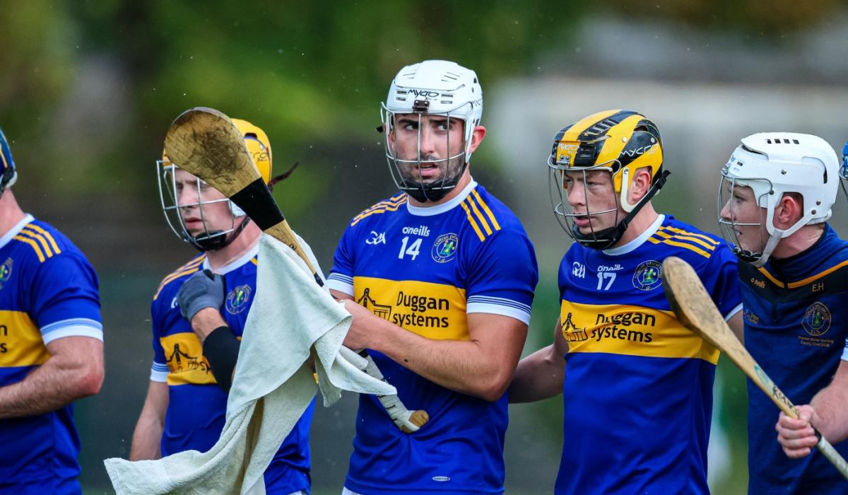 Patrickswell into Limerick club hurling quarter final with late scoring ...