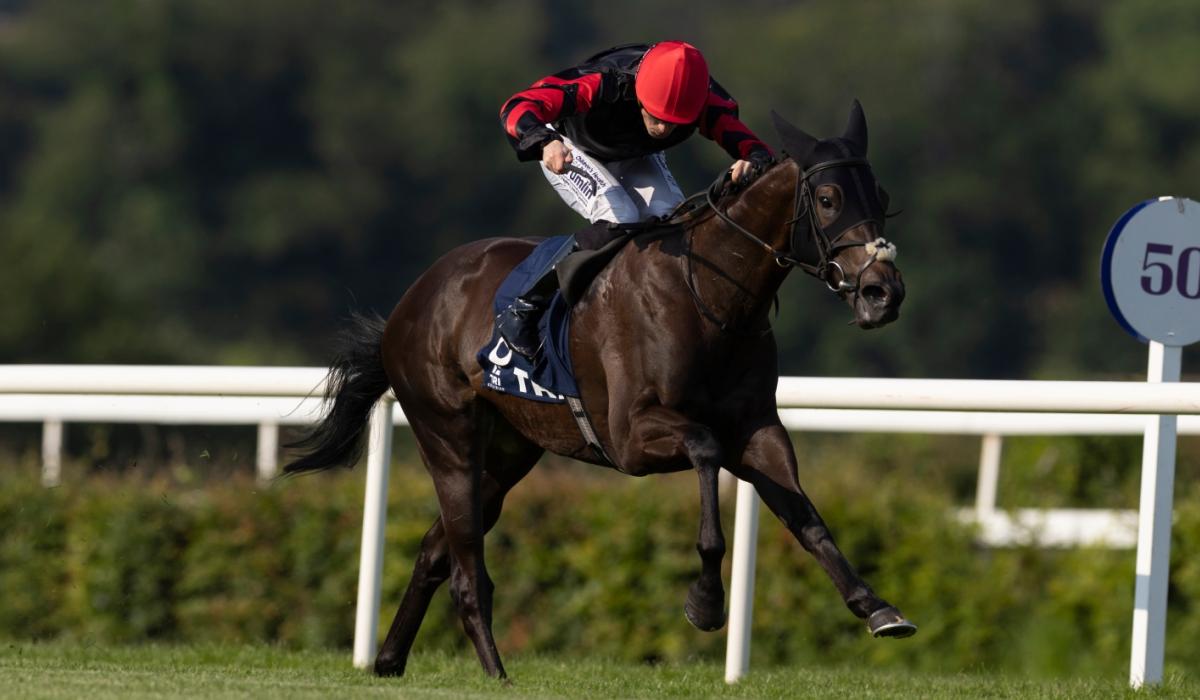 Another successful week for Limerick jockey Billy Lee - Limerick Live