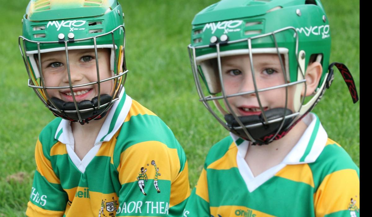 IN PICTURES: Big crowd in Ballyagran for Limerick SHC tie between Adare ...
