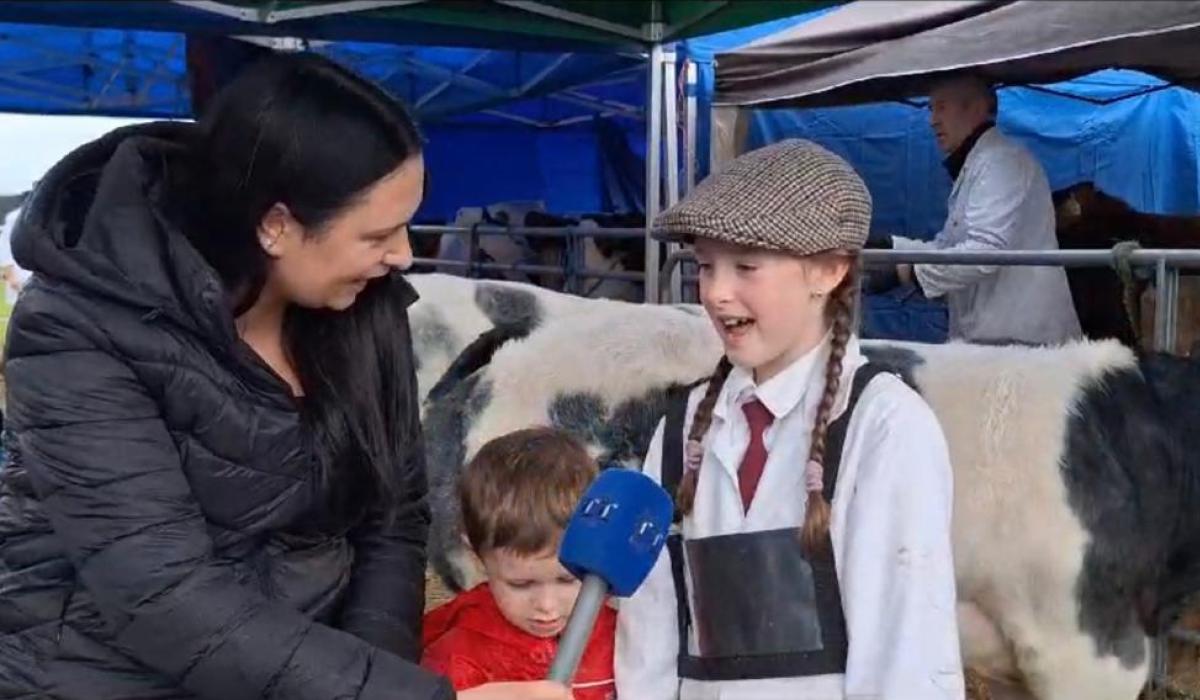 Family affair as four siblings compete at Limerick Show with their ...