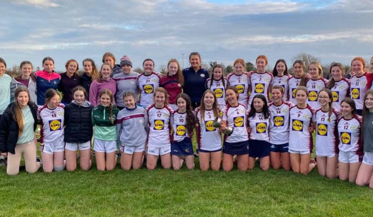 980km round-trip for Limerick college in an All-Ireland camogie semi ...