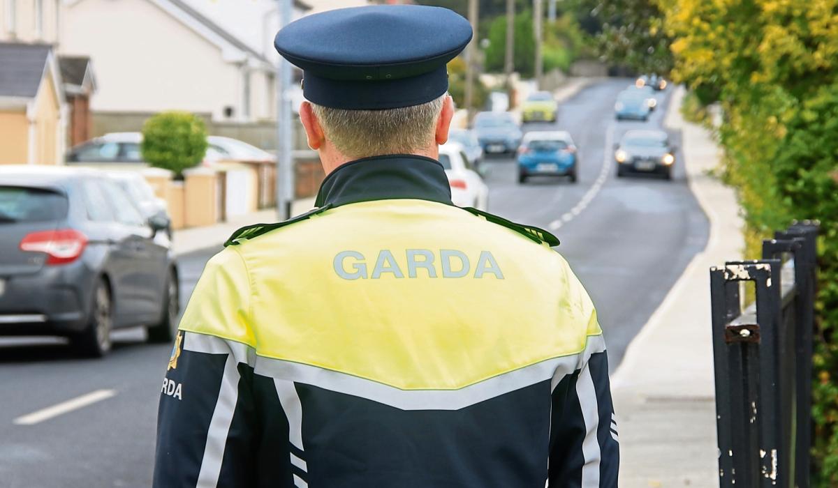 Number of community gardaí in Limerick fallen by 'two-thirds' in 12 ...