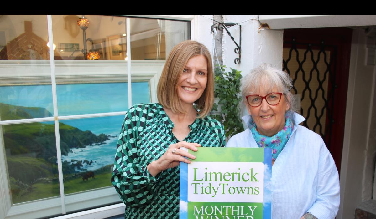 Tidy Towns award for Limerick artist and gallery owner - Limerick Live